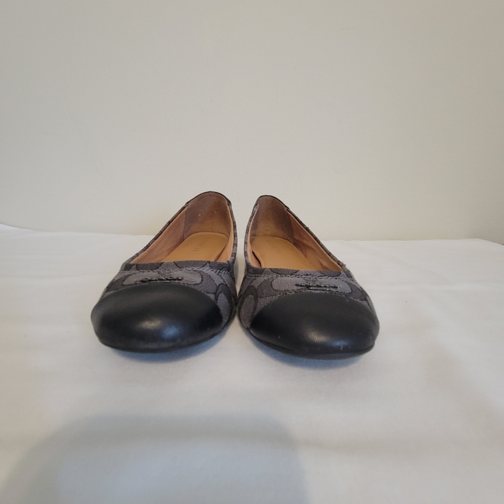 Coach Chelsea Outline Sig Black Smoke/Black S.7.5m - Gem